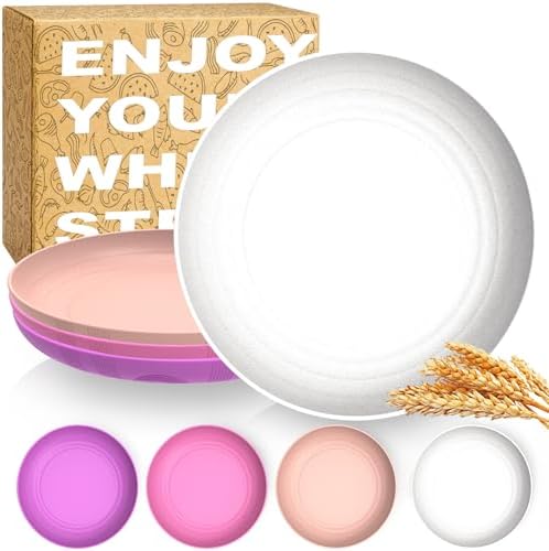 Amazon.com | HEYCOME 12 Pcs Unbreakable Deep Dinner Plates Set, 10 inch ...