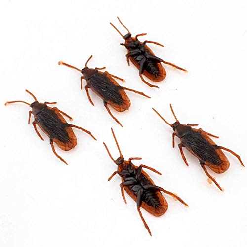 Ellaao Fake Roaches Fake Cockroach Halloween Party Favors Decoration ...
