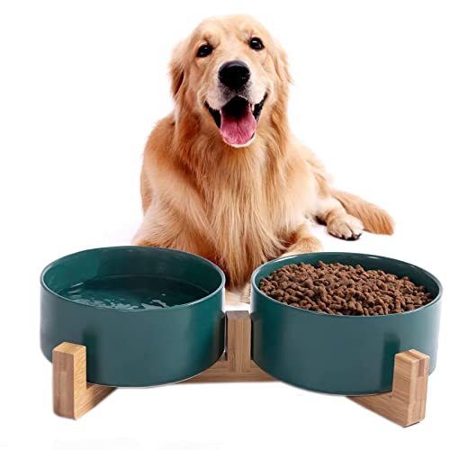 Die besten Keramiknäpfe für Hunde im Überblick - Ratgeber