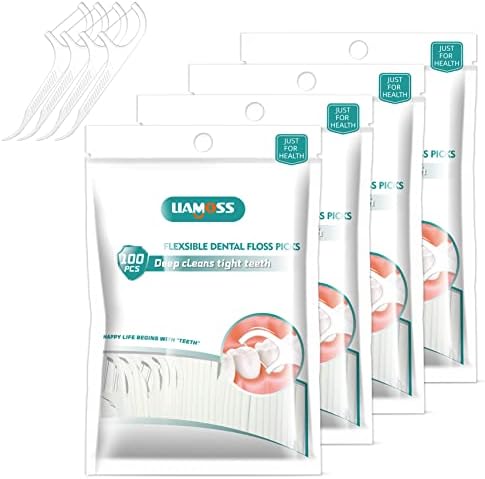 Amazon.com : 400 Count Dental Floss Picks-Tooth Picks Flossers for ...