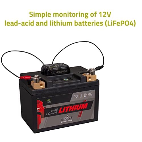 intAct Battery-Guard, Batteriewächter zur