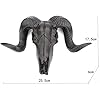 Amazon.com: Resin Goat Skull Head Wall Hanging Decor Succulent Long ...