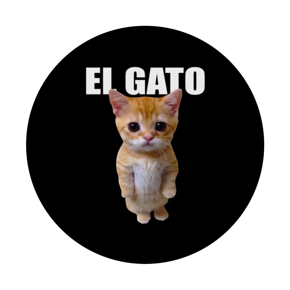 Meme Do Gato Gamer