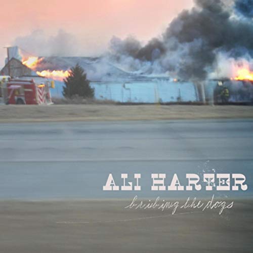 Amazon.com: Bribing the Dogs : Ali Harter: Digital Music