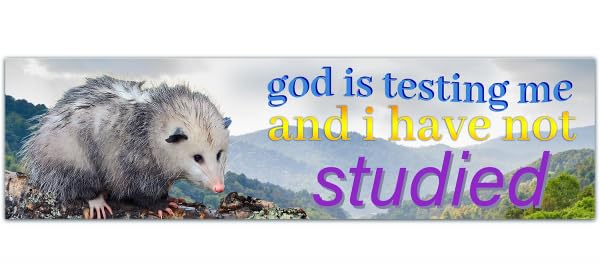 Funny Bumper Sticker - God Is Testing Me And I Have Not Studied ...