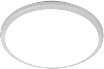 DELIPOP 12 Inch Ceiling Light, 24W Surface Flat LED Ceiling Light for ...