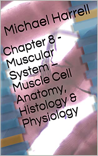 Amazon.com: Chapter 8 - Muscular System – Muscle Cell Anatomy ...