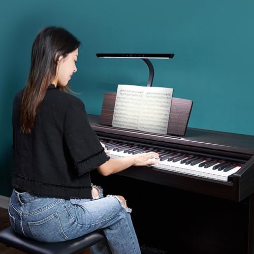 Amazon.com: AETEE Piano Lights for Digital Piano and Grand Piano ...