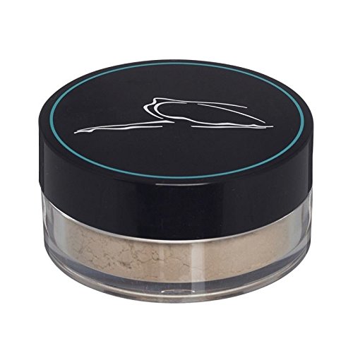 Amazon.com : Beautiful Movements Finishing Powder Dewy Perfection ...