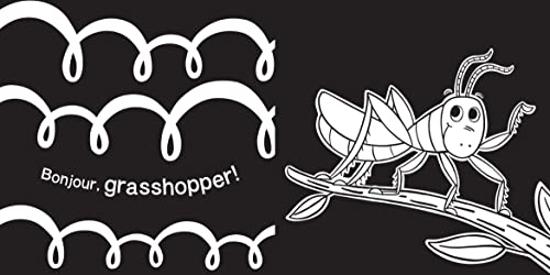 Snapklik.com : Hello, Garden Bugs: A High-Contrast Board Book That ...