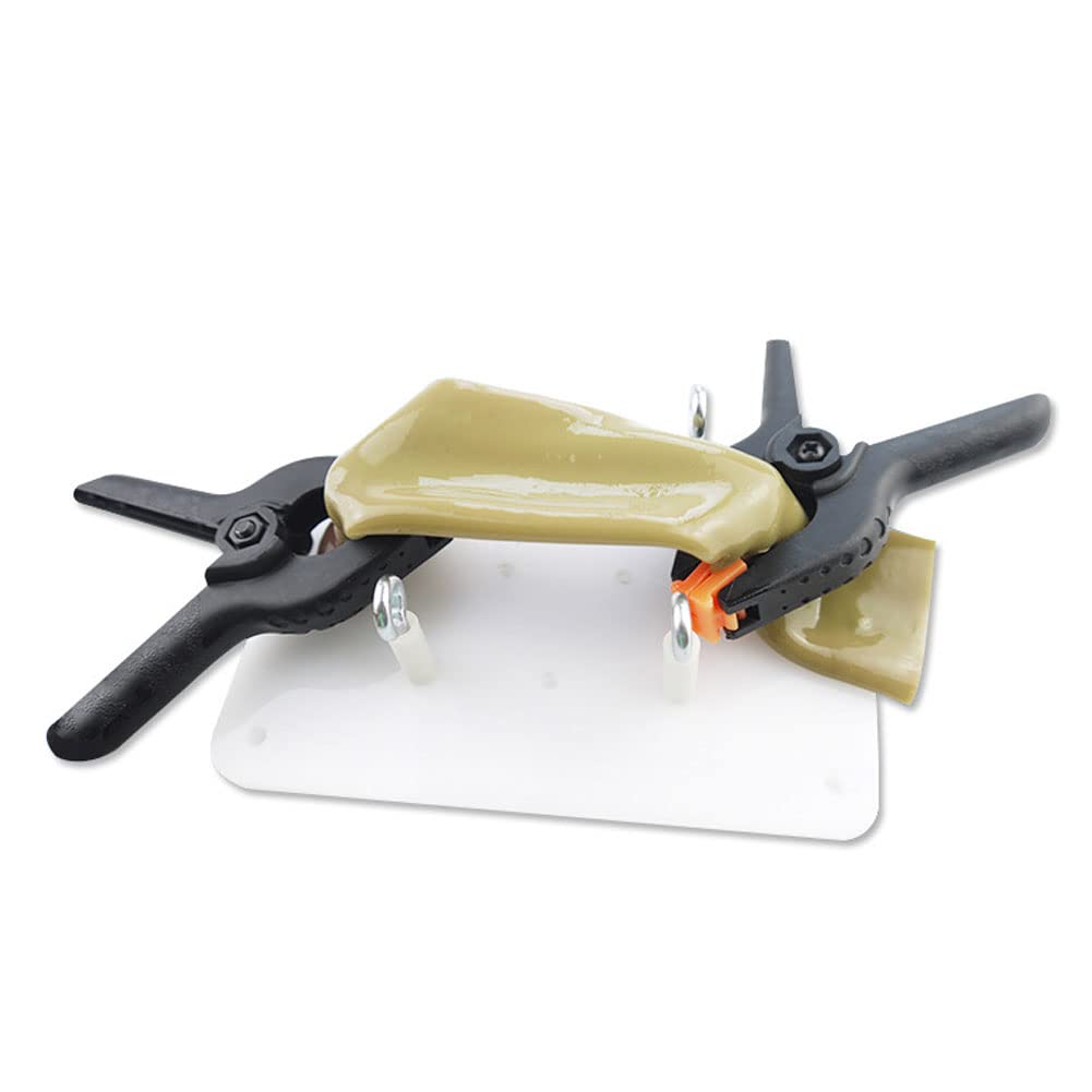 Buy YZDKJDZ Intestine Suture Training Modules, Bowel Suture Practice ...