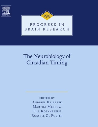 Amazon.com: The Neurobiology of Circadian Timing (ISSN Book 199) eBook ...