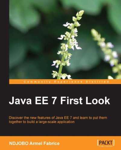 Java EE 7 First Look eBook : Fabrice, NDJOBO Armel: Amazon.in: Kindle Store