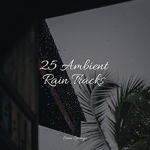 25 Ambient Rain Tracks by Natural Rain Sounds for Sleeping, Rainfall ...