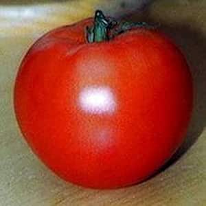 Amazon.com : Floradade Tomato Seeds (40 Seed Pack) : Patio, Lawn & Garden