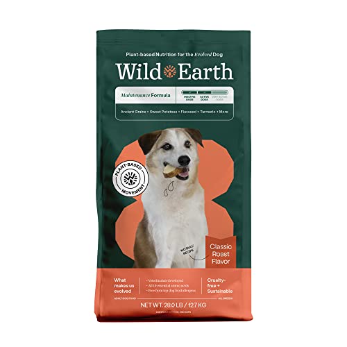 10 Best Vegetarian Dog Food Products: A Complete Review and Buying ...
