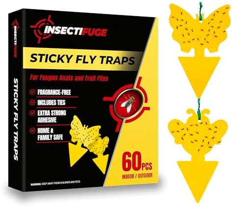Amazon.com : Tradeinc Enterprises Indoor Fruit Fly Trap - Fungus Gnat ...