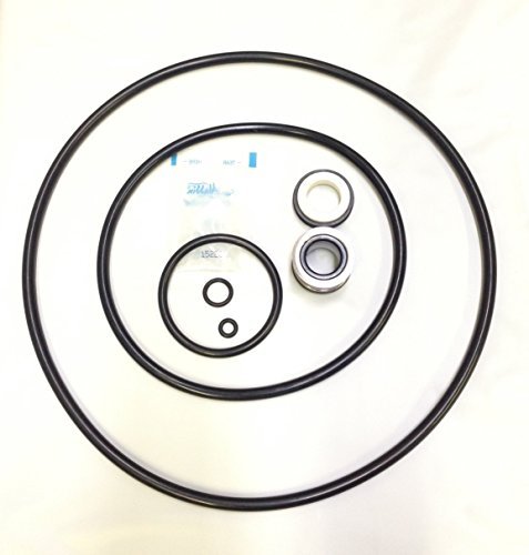 Outdoor O-Ring Repair Rebuild Kit For Sta-Rite Max-E-Pro Pool Pump ...