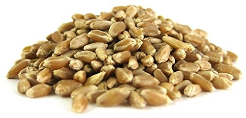 Amazon.com : Organic Hard Spring Wheat Berries 5 pound bag : Grocery ...