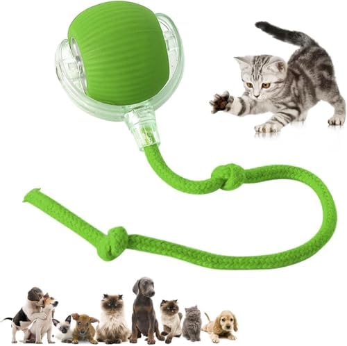 XUDUOO Interactive Cat Toys for Indoor Cats, Automatic Cat Toy Smart ...