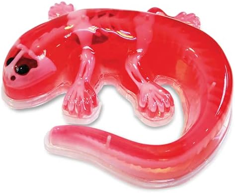 SLIMY Experiment Set Salamander – Original Slime Set, Slime Laboratory ...
