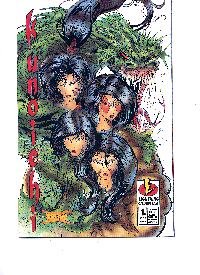 Amazon.com: Kunoichi #1B Variant cover Lightning Comic: No information ...