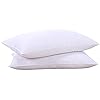 Amazon.com: felo Feather Down Pillows Queen Size Set of 2, CloudFusion ...