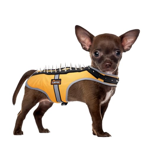 Dog Spike Vest – The 15 best products compared - Wild Explained