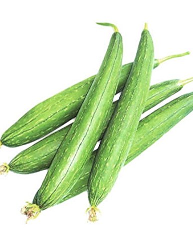 Plant It Fast Growing Sponge Gourd Taroi Vegetable Seeds : Amazon.in ...