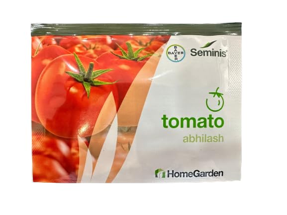 SEMINIS HYBRID TOMATO VARIETY - ABHILASH (COUNT OF 10 SEEDS FOR HOME ...