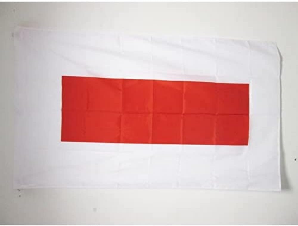Amazon.com : AZ FLAG Sharjah Flag 3' x 5' for a pole - UAE Emirate of ...