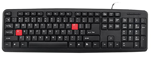 Amazon.in: Buy AsiaPower PowerKey 216 USB Keyboard Online at Low Prices ...