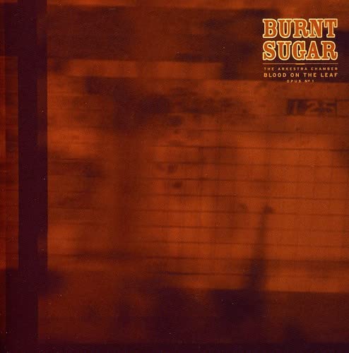Burnt Sugar, Burnt Sugar the Arkestra Chamber, Vijay Iyer, Bruce Mack ...