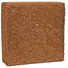 Amazon.com : Best Coco Peat - Premium Coconut Coir Pith 5Kg/11 Lbs ...
