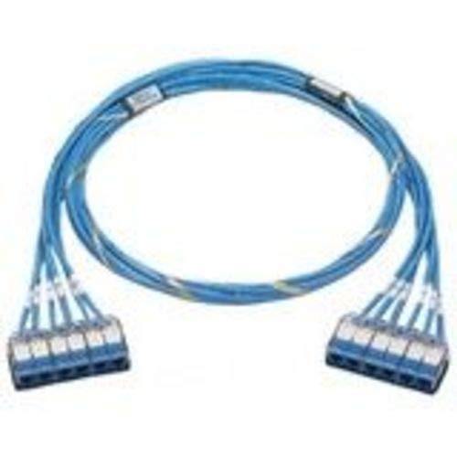 Amazon.co.jp: Panduit QuickNet Pre-Terminated Cable Assembly - Network ...