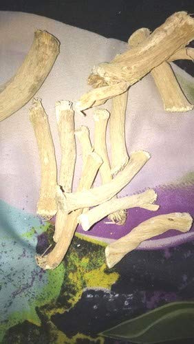 Buy Vinarghy - Indrayan ki Jad Mool Root/Citrullus Colocynthis/Bitter ...