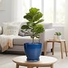 Amazon.com : EPFamily Ceramic Plant Pot - 8 Inch Planter for Indoor ...