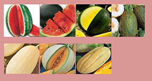 Baby Melone – Die 15 besten Produkte im Vergleich & Angebote ...