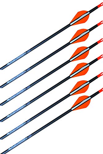 Top 10 Best Micro Diameter Hunting Arrows : Reviews & Buying Guide ...
