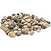 Amazon.com: 2 Pounds River Rocks, Pebbles, Outdoor Decorative Stones ...
