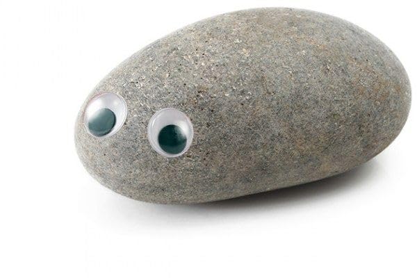 Decorative Pet Rock With Googly Eyes, Natural Stone, White Premium Pet ...