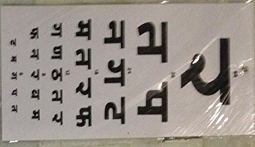 EROSE Eye Vision Chart in Hindi language : Amazon.in: Industrial ...