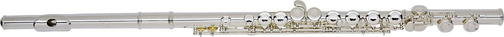 Amazon.com: Armstrong 104 Student Flute with Offset G Key System ...