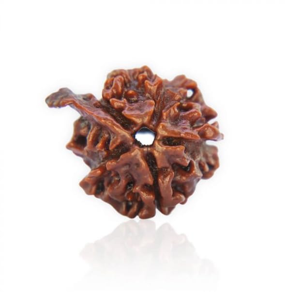 Buy Hdbg Shri Ganesh Rudraksha Ganpati Rudraksha Pendant With Red ...