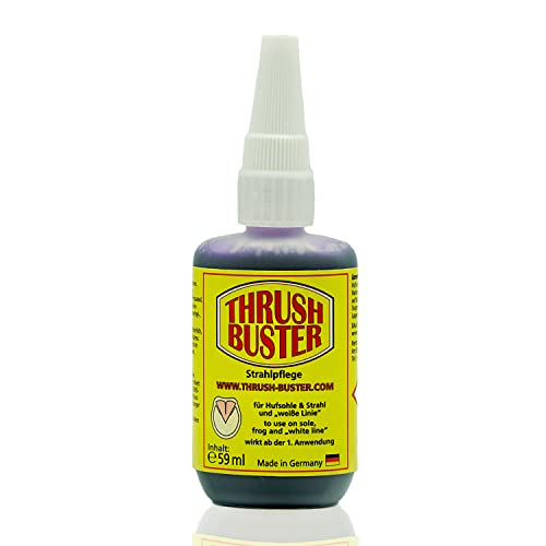 Horn Pads – Die 15 besten Produkte im Vergleich - Reiterguide Ratgeber