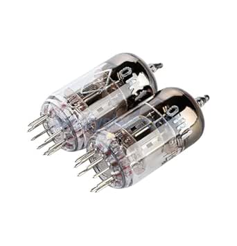 Amazon.com: 1Pair 6H2N-EB Vacuum Tube Amplifier Electron Tube Valve ...
