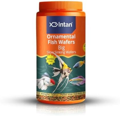 Intan Ornamental Fish Wafers (Big 1.6mm Slow Sinking) | 520gm - Highly ...