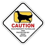 ・ブランド:MAGSIGN・製造元:MAGSIGN・モデル:MAGSIGN-DOG-IST-ctpp(magnetS)・製造元/メーカー部品番号:MAGSIGN-DOG-IST-ctpp(magnetS)・アイリッシュセッターの英語マグネッ...