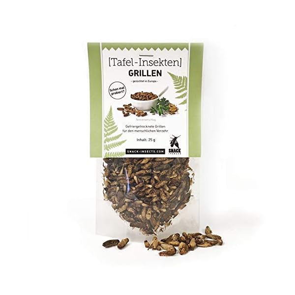 Grillen - essbare Insekten von 'SNACK insects' 25g - Insekten zum Essen ...