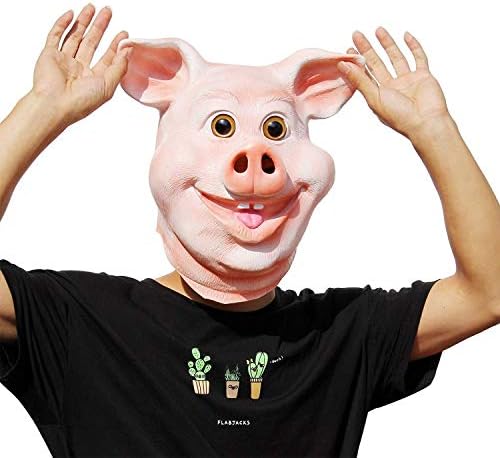 Amazon.com: PartyHop - Happy Pig Mask : Toys & Games